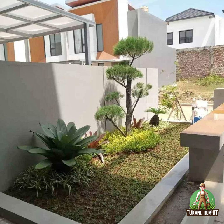 Taman Bromelia Minimalis Ukuran 3x3 Untuk Rumah Pribadi - Tukang Rumput
